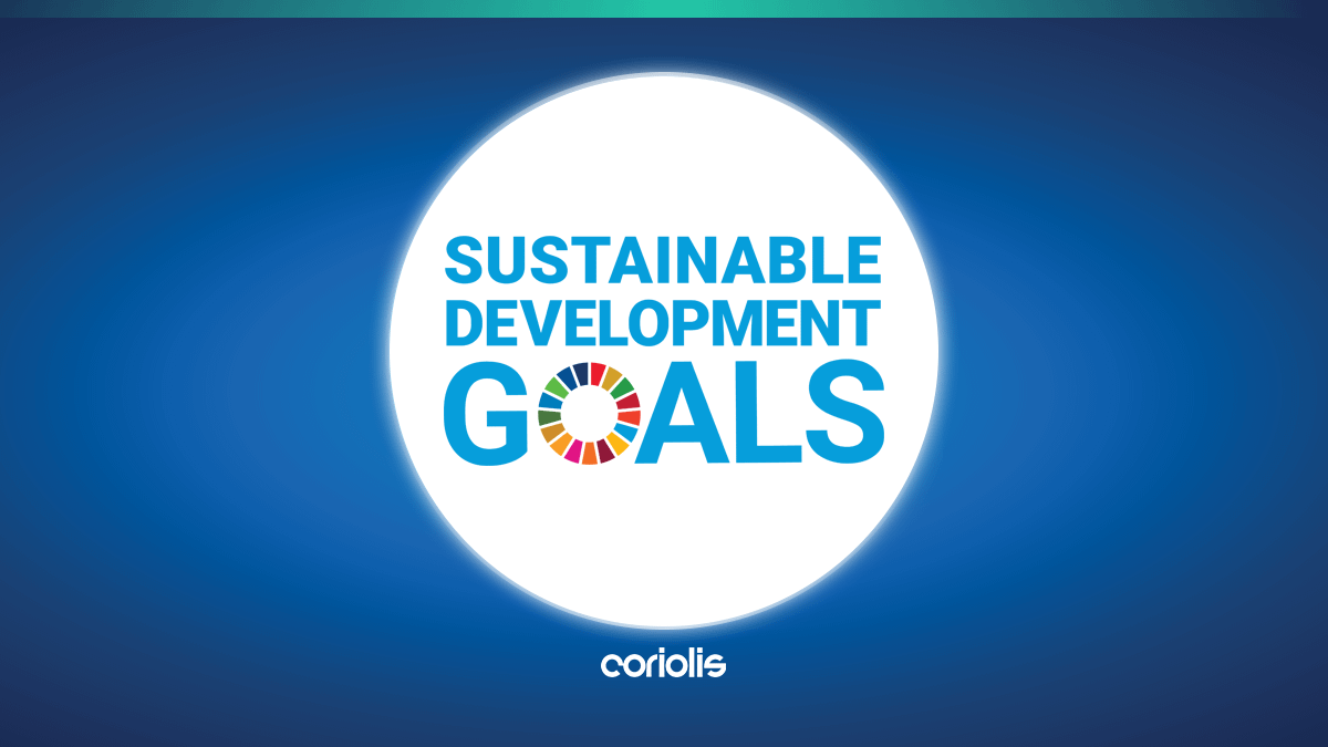 What are the United Nations Sustainable Development Goals, and what do ...